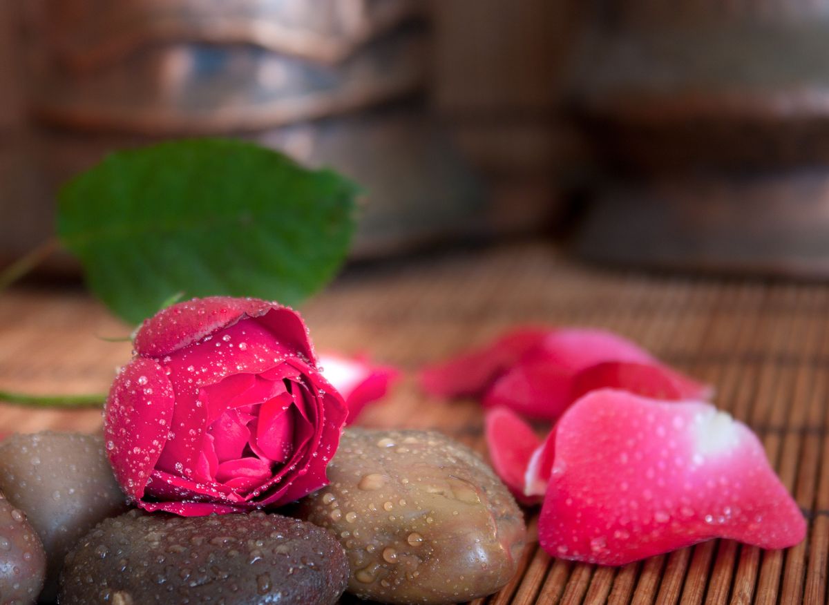 5 recettes beauté à la rose - FemininBio