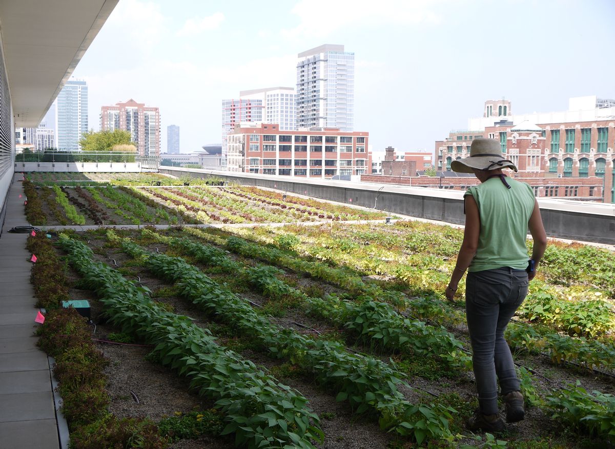 5 idées innovantes pour rendre la ville plus verte - FemininBio