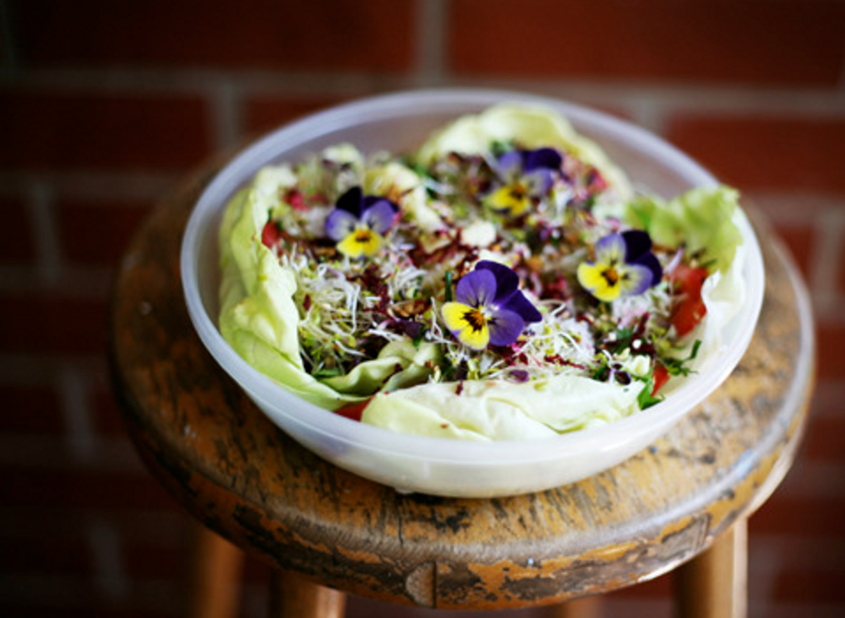 Easy Veggie : cours de cuisine végétale - FemininBio