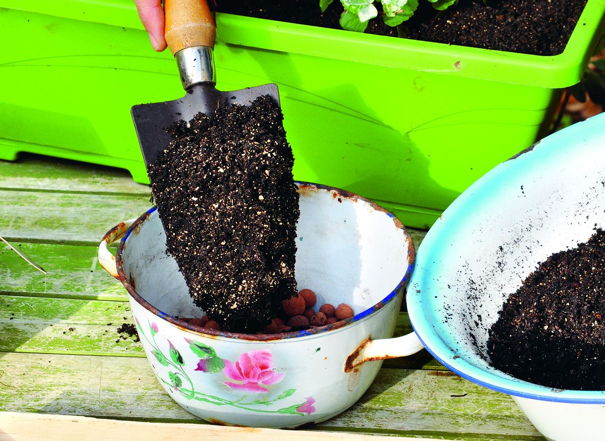 Planter des bulbes - FemininBio