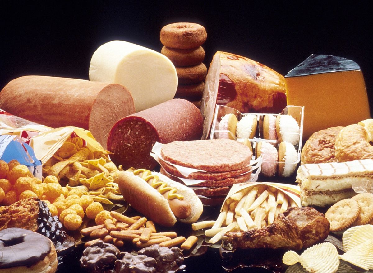 Un régime trop gras modifie la flore intestinale - FemininBio