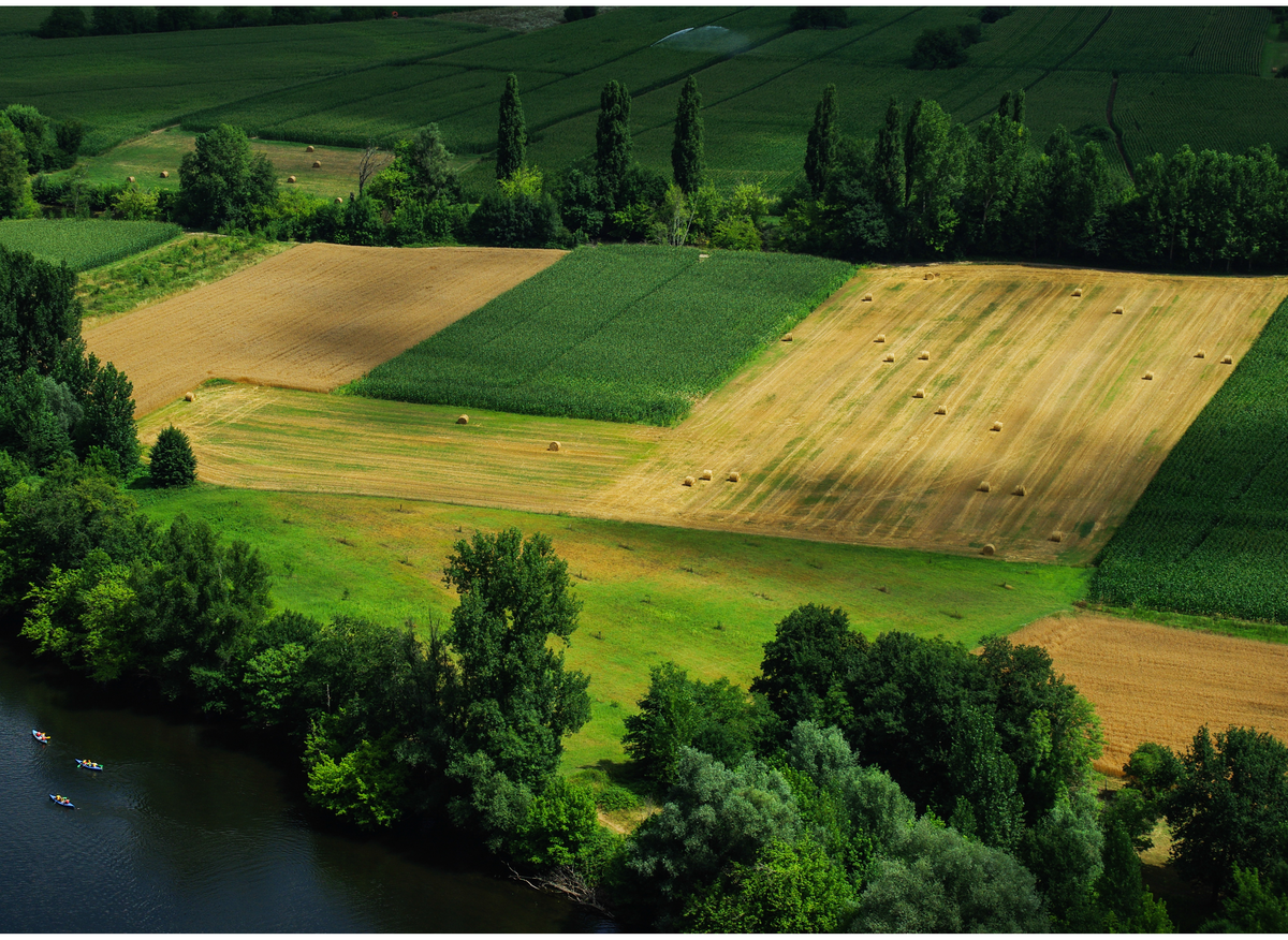 Exode rural: le bio à la rescousse d'un village de Dordogne - FemininBio