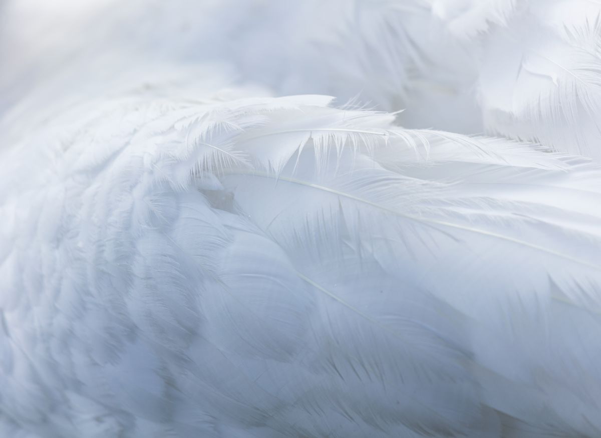 Les 12 clés vers plus de douceur dans sa vie - FemininBio