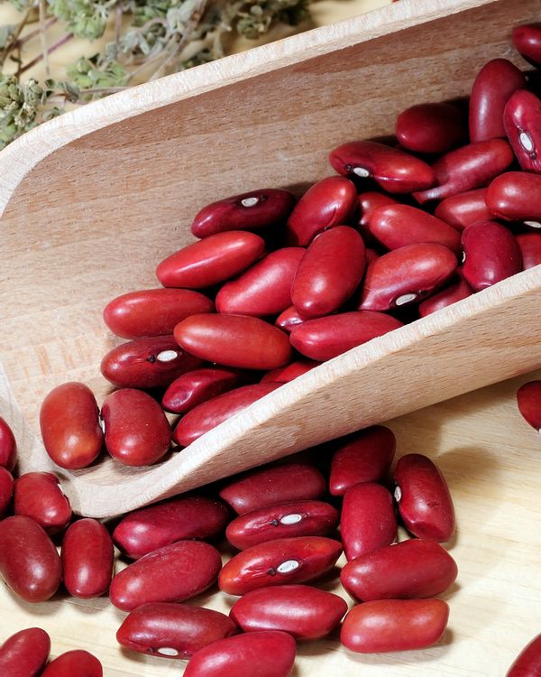 Haricots : légumineuses jour 5 - FemininBio