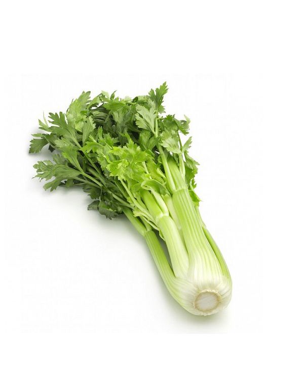 Cuisiner avec les légumes de janvier - FemininBio