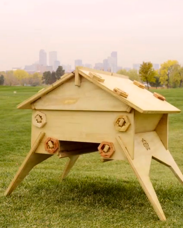 5 idées originales pour produire ses aliments - FemininBio