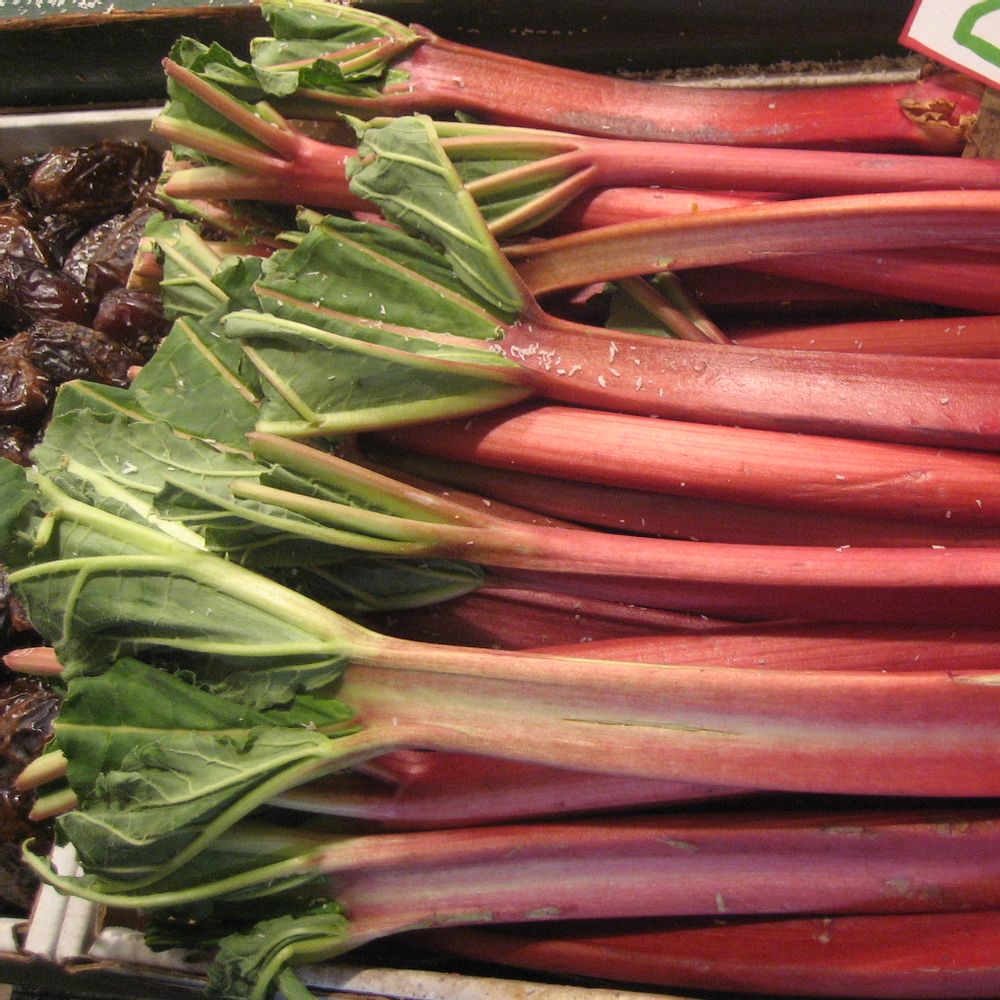 rhubarbe preparation