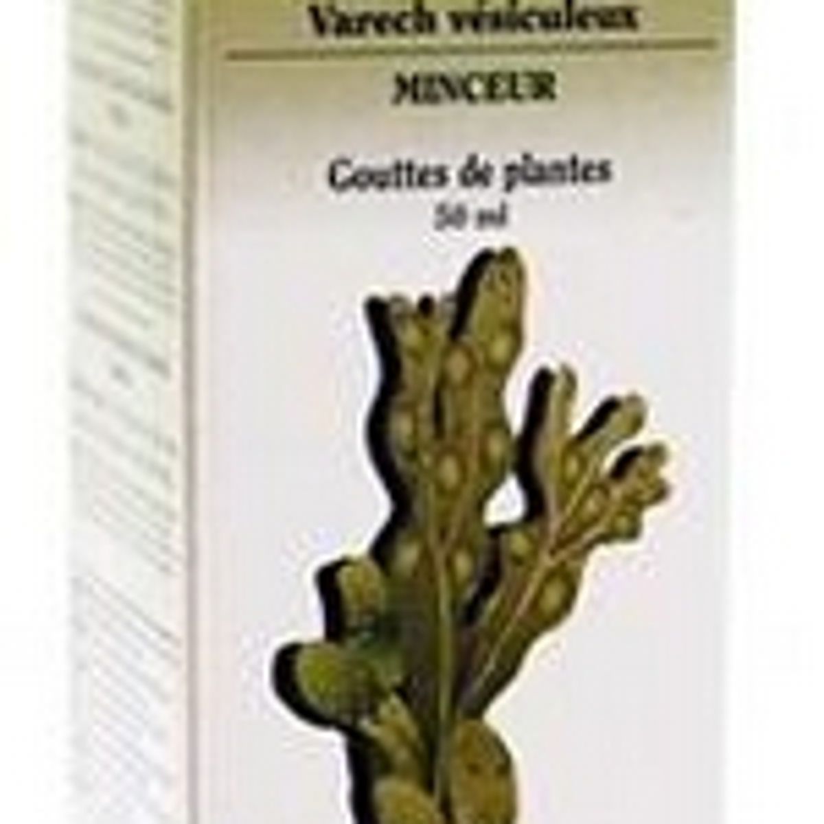 Avis Varech vésiculeux - fucus vesiculosus - FemininBio